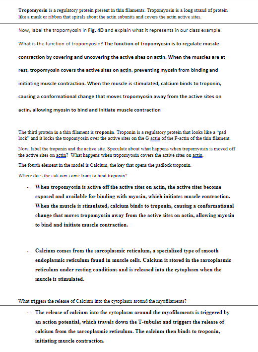 Solved Rank the following structures relative to their size | Chegg.com