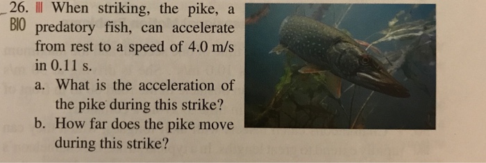 Solved When striking, the pike, a predatory fish, can | Chegg.com