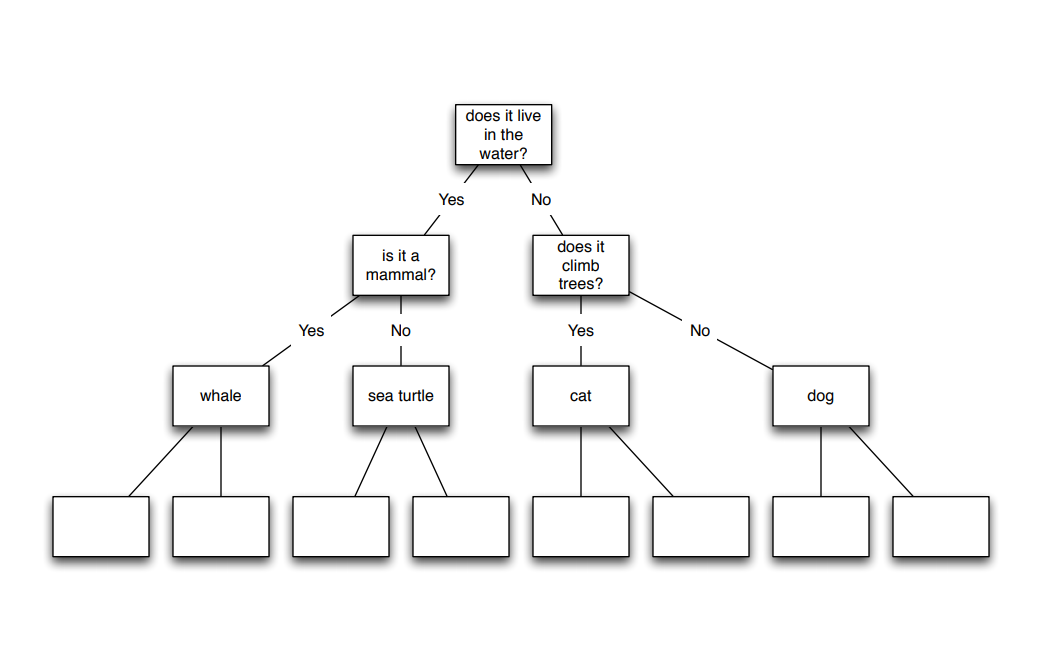 Solved The computer has built the following decision tree | Chegg.com