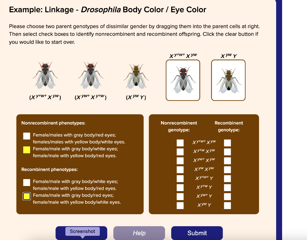 Solved Example: Linkage - Drosophila Body Color / Eye Color | Chegg.com