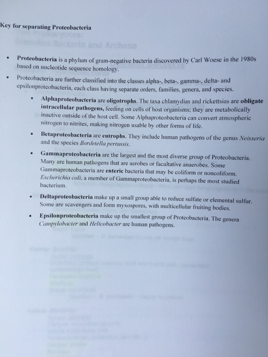 Solved Dichotomous Key Project In this activity you are | Chegg.com