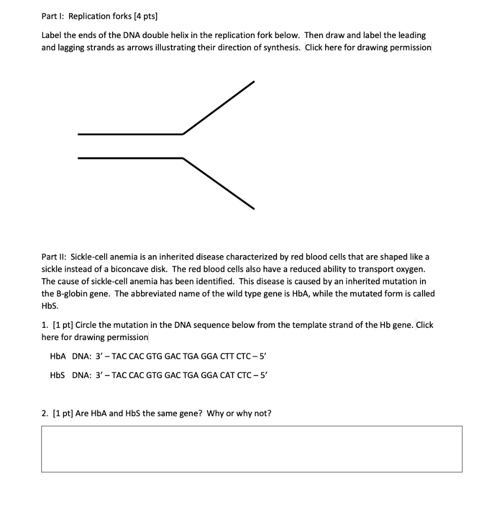 Solved Part I: Replication forks (4 pts] Label the ends of | Chegg.com