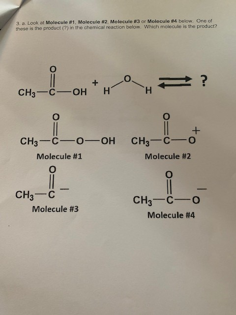 Solved 3. a. Look at Molecule #1, Molecule #2, Molecule #3 | Chegg.com