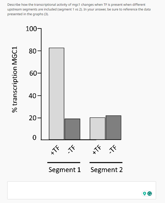 Solved Describe how the transcriptional activity of mgc1 | Chegg.com