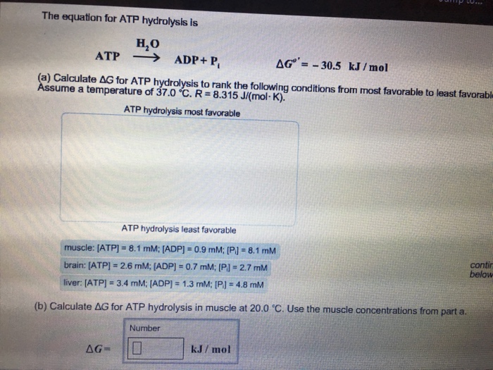 Solved The equation for ATP hydrolysis is H,O --> ATP ADP+ | Chegg.com