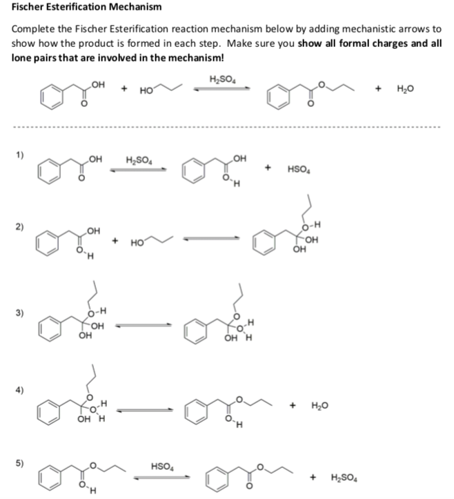 Solved Fischer Esterification Mechanism Complete the Fischer | Chegg.com