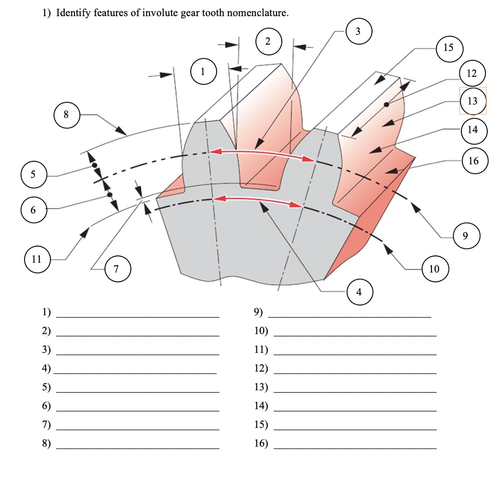 Solved 1) Identify features of involute gear tooth | Chegg.com