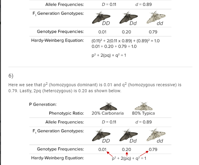 Solved Environment: Clean Forest Phenotype Frequency Allele | Chegg.com
