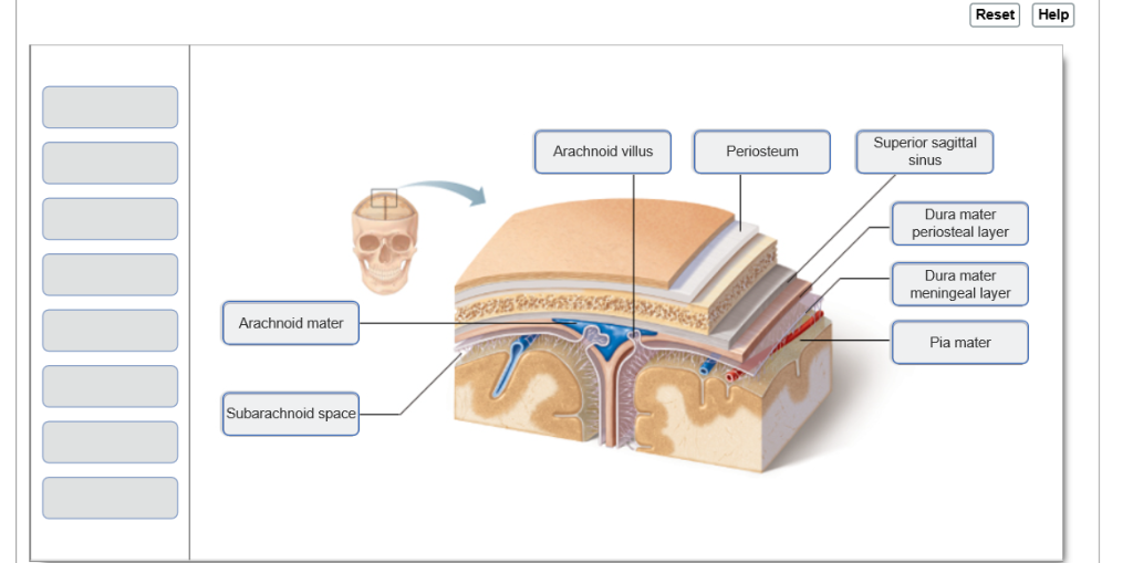 Solved I got 4 out of the 8 wrong/right. Please help me with | Chegg.com