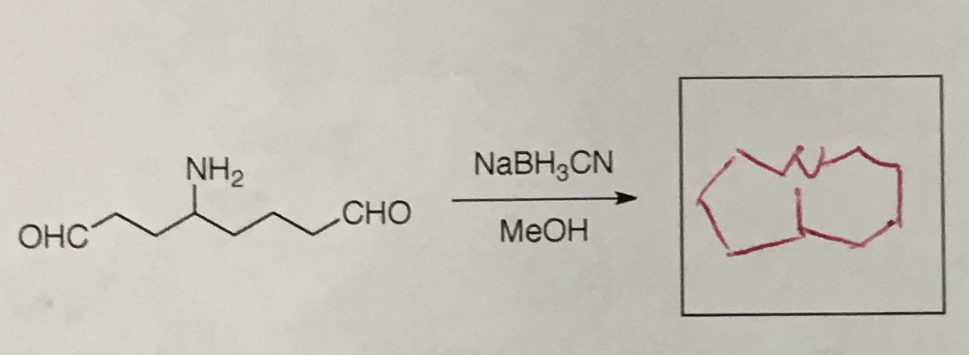 Solved NH2 NaBH CN CHO OHC MeOH | Chegg.com