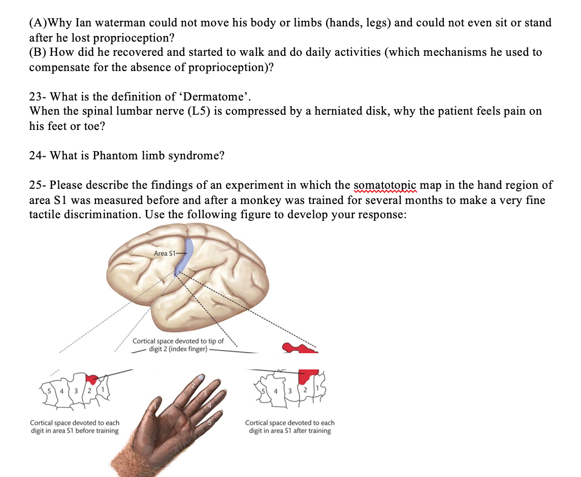 Solved (A)Why Ian waterman could not move his body or limbs | Chegg.com