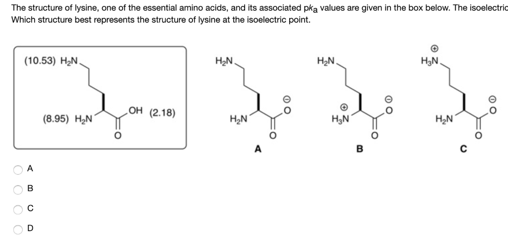 Solved The structure of lysine, one of the essential amino | Chegg.com