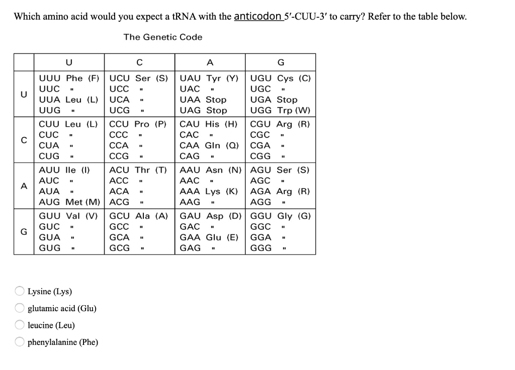 Solved Which amino acid would you expect a tRNA with the | Chegg.com
