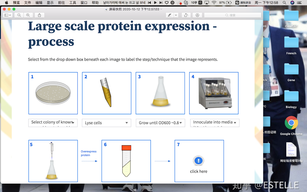Solved this is large scale protein expression | Chegg.com