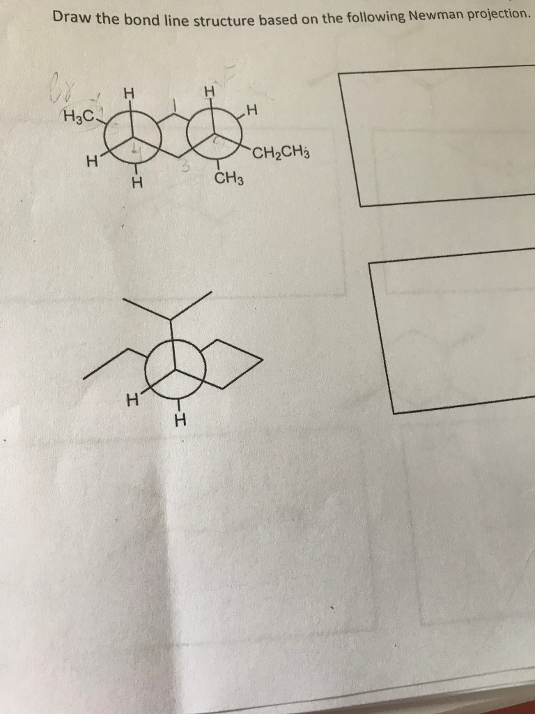 Solved Draw the bond line structure based on the following | Chegg.com