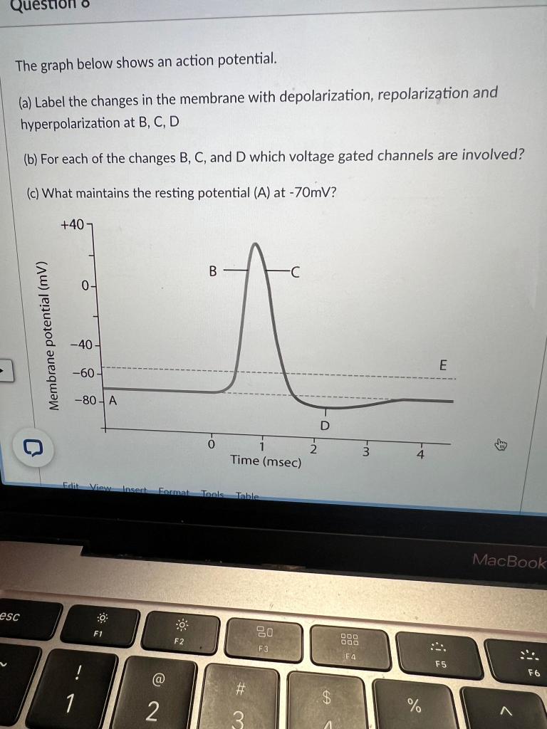 Solved The graph below shows an action potential. (a) Label | Chegg.com