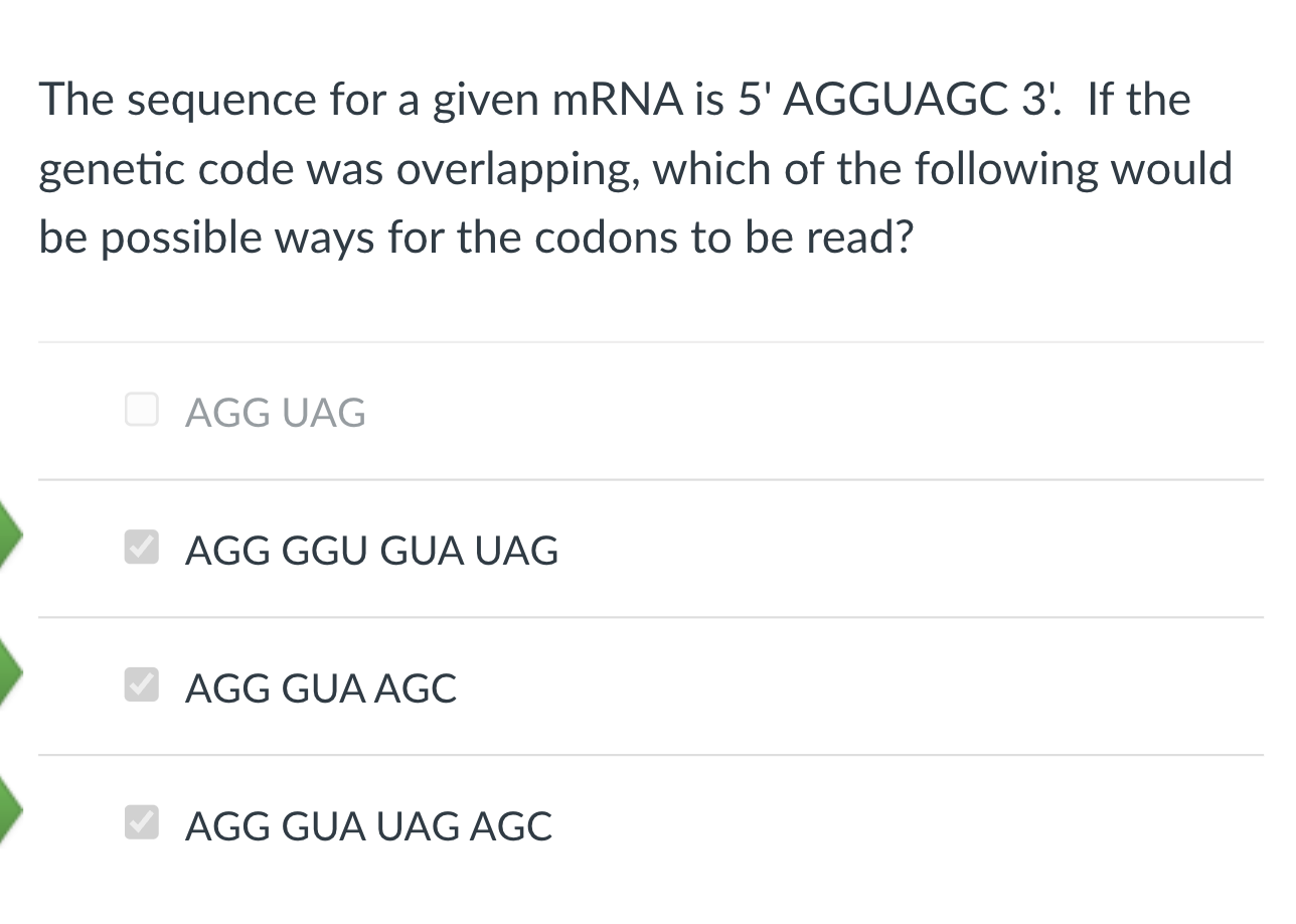 Solved The sequence for a given mRNA is 5' AGGUAGC 3'. If | Chegg.com