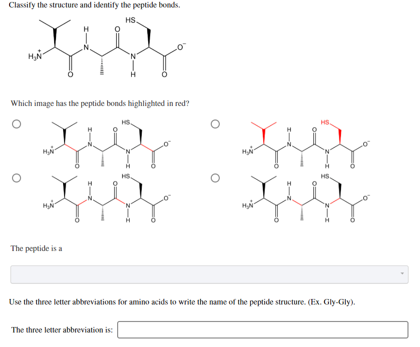 Solved Classify the structure and identify the peptide | Chegg.com