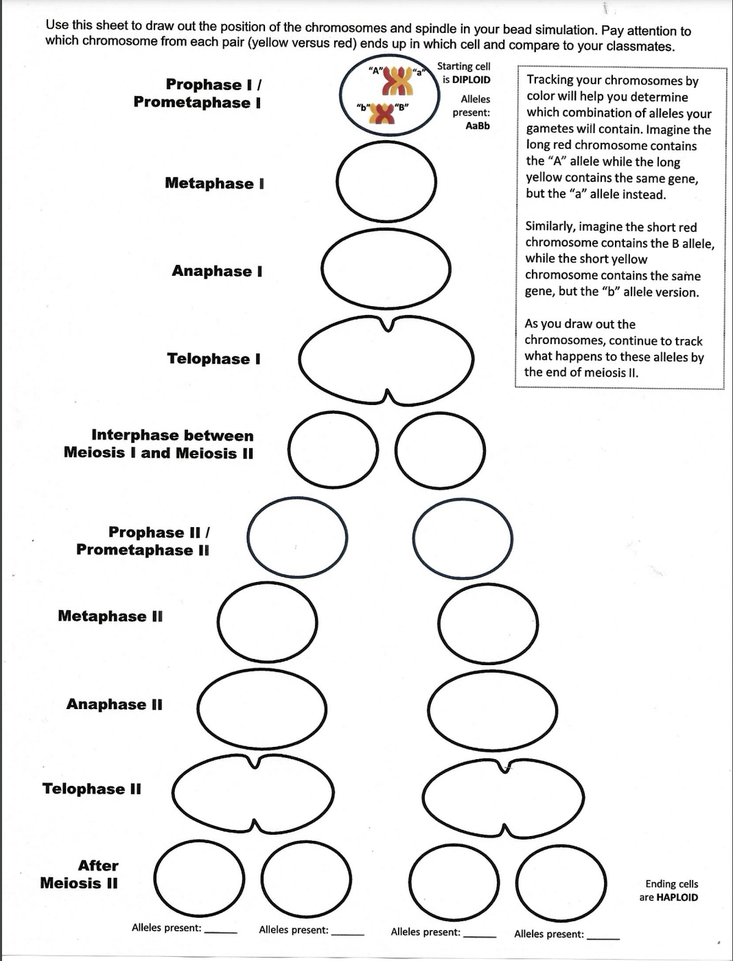 Solved Use this sheet to draw out the position of the | Chegg.com