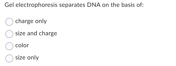 Solved Gel electrophoresis separates DNA on the basis | Chegg.com