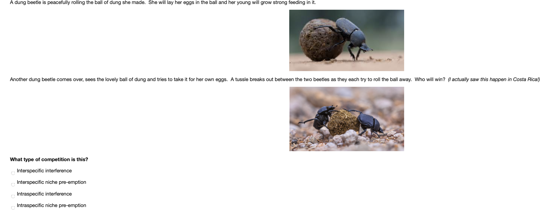 Solved A dung beetle is peacefully rolling the ball of dung | Chegg.com