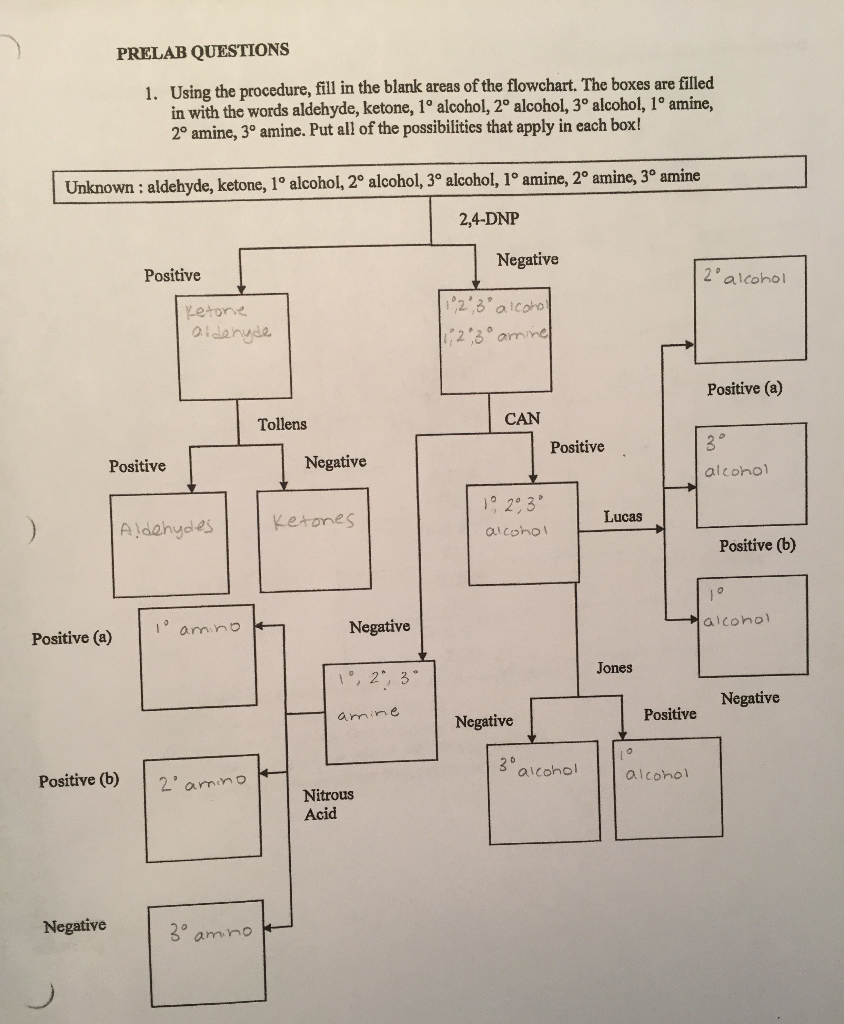 Solved Draw reactions of your unknowns for every positive | Chegg.com