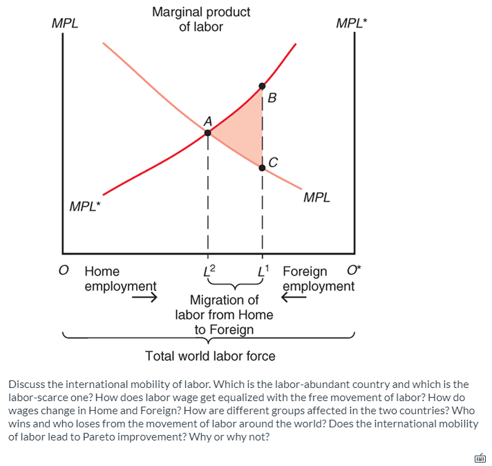 Solved MPL Marginal product of labor MPL* B А. A с MPL MPL* | Chegg.com