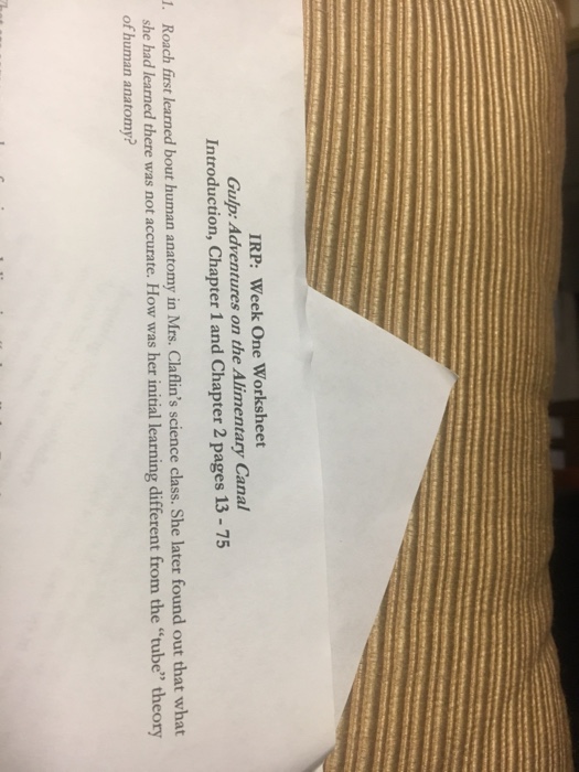 IRP: Week One Worksheet Gulp: Adventures on the | Chegg.com