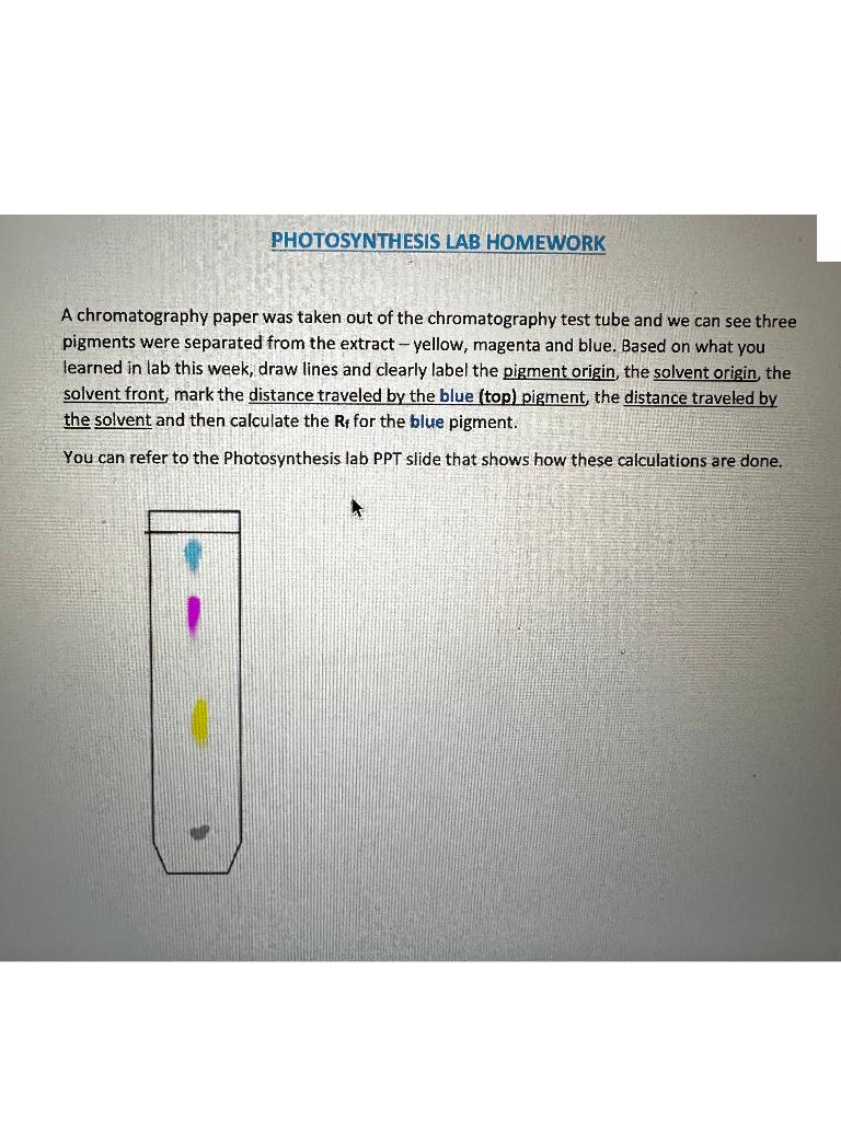 A chromatography paper was taken out of the | Chegg.com