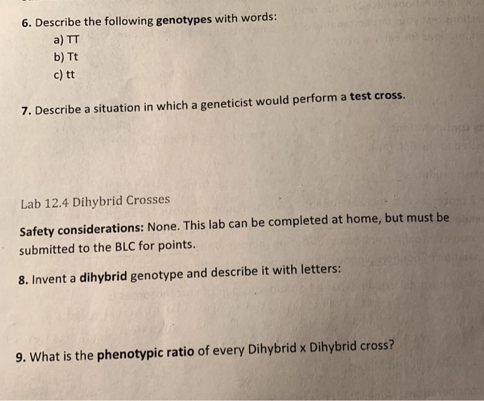 Solved 6. Describe the following genotypes with words: a) TT | Chegg.com
