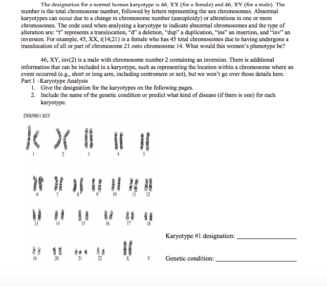 Solved The designation for a normal human karyotype is 46, | Chegg.com