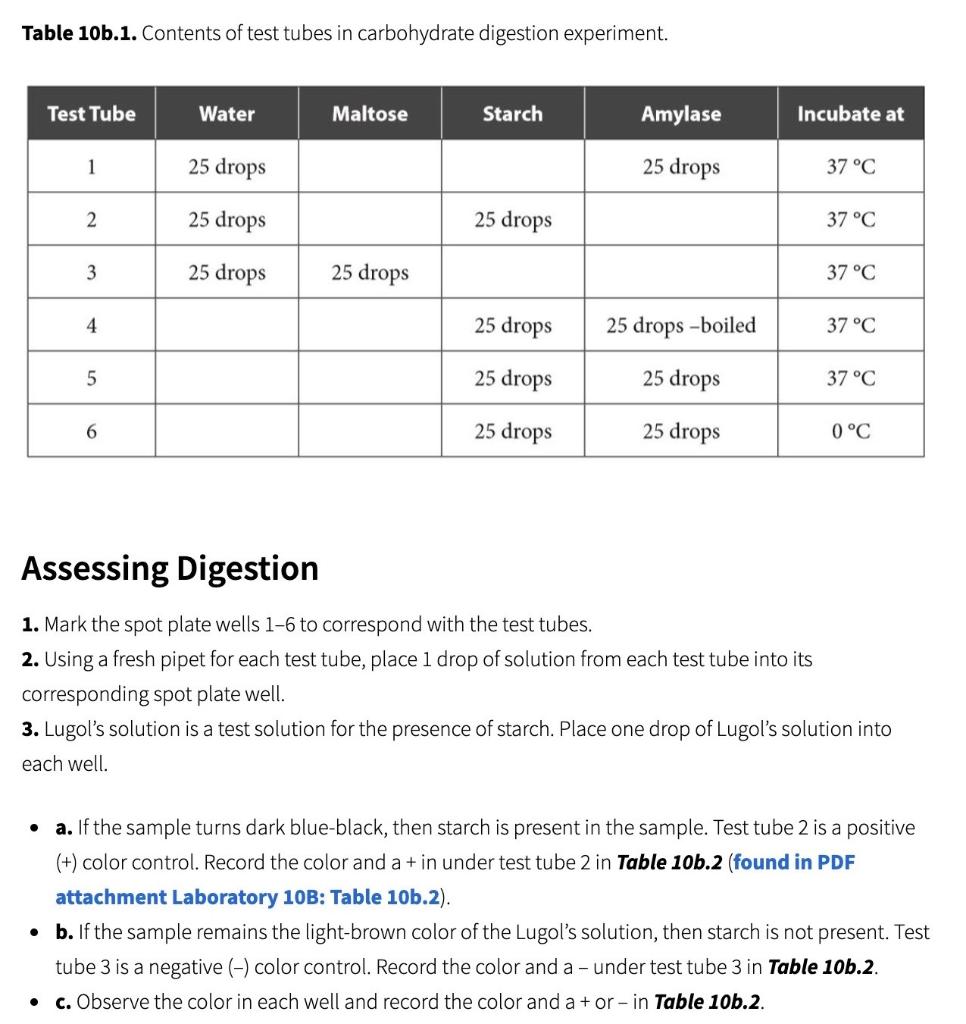 Solved Laboratory 10B: Digestive System: | Chegg.com