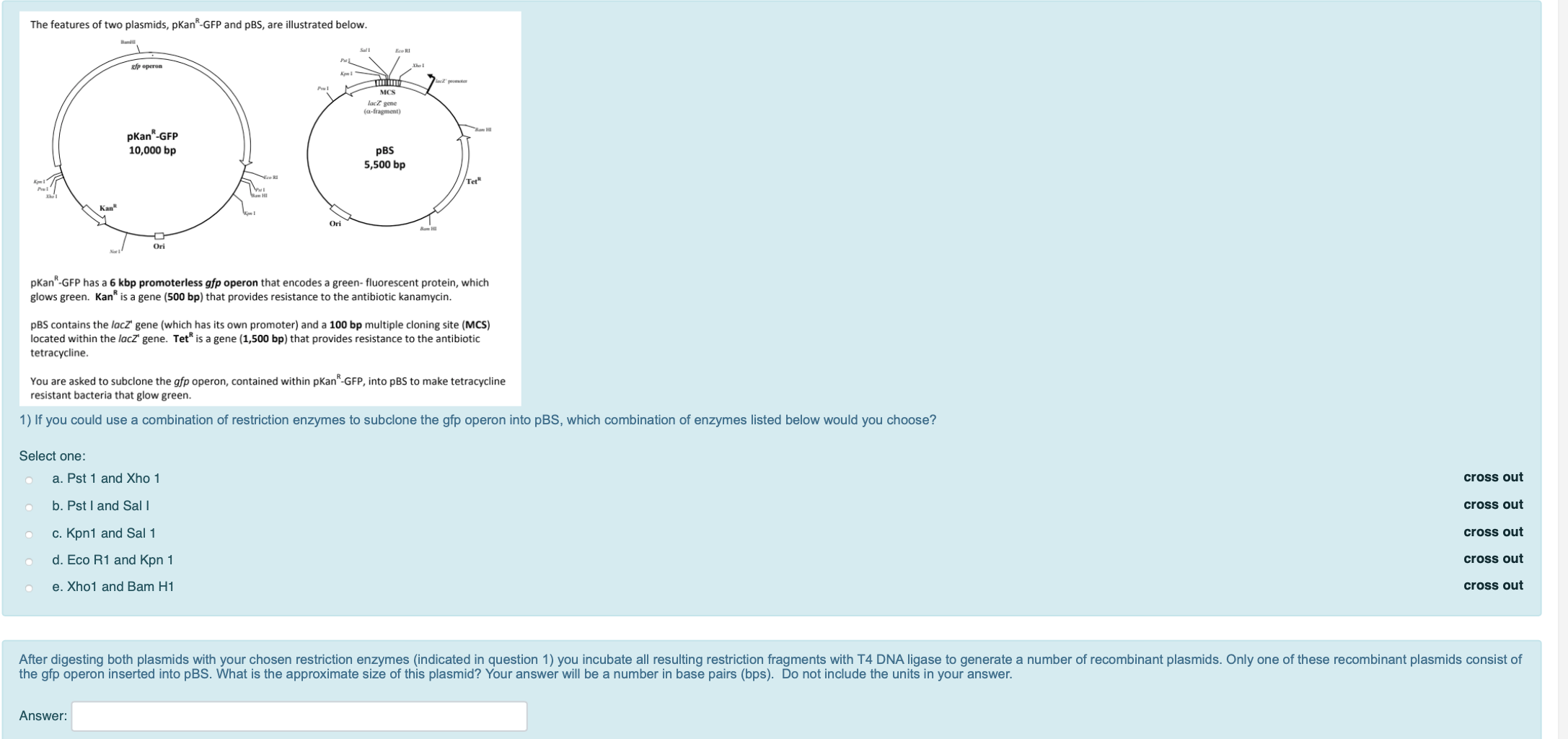 The features of two plasmids, pkan-GFP and PBS, are | Chegg.com