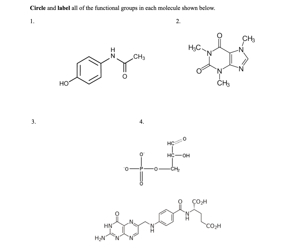 Solved Circle and label all of the functional groups in each | Chegg.com