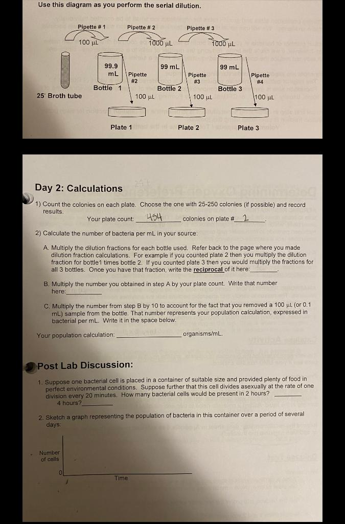 Use this diagram as you perform the serial dilution. | Chegg.com
