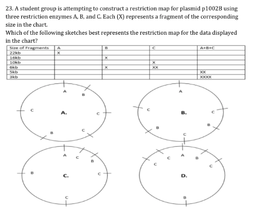 Solved Which one is correct and how do you draw restriction | Chegg.com