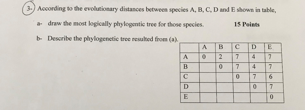 Solved Can you please do this problem in bioinformatics, it | Chegg.com