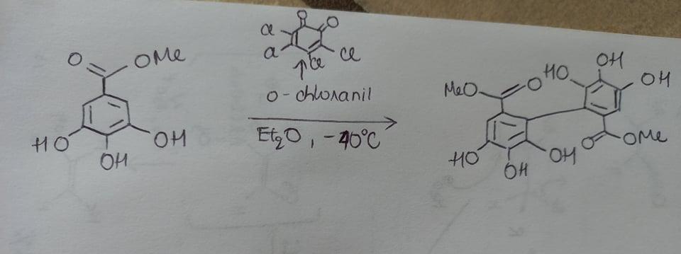 Solved Please explain in details the mechanism of this | Chegg.com