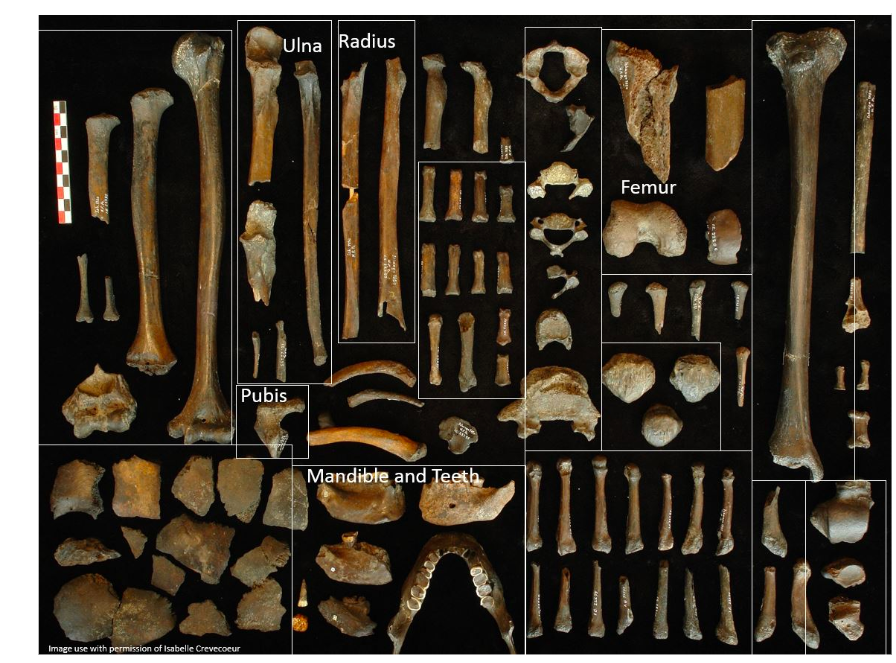 Please select the box (by clicking directly on the | Chegg.com