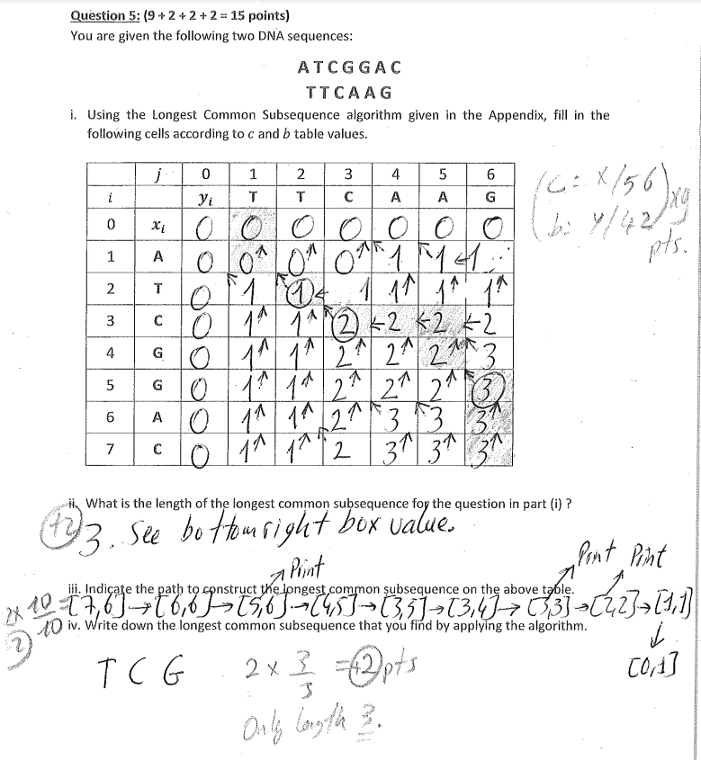 Solved You are given the following two DNA | Chegg.com