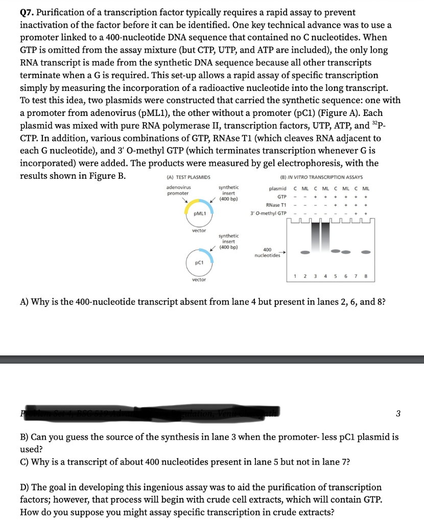 Solved Q7. Purification of a transcription factor typically | Chegg.com
