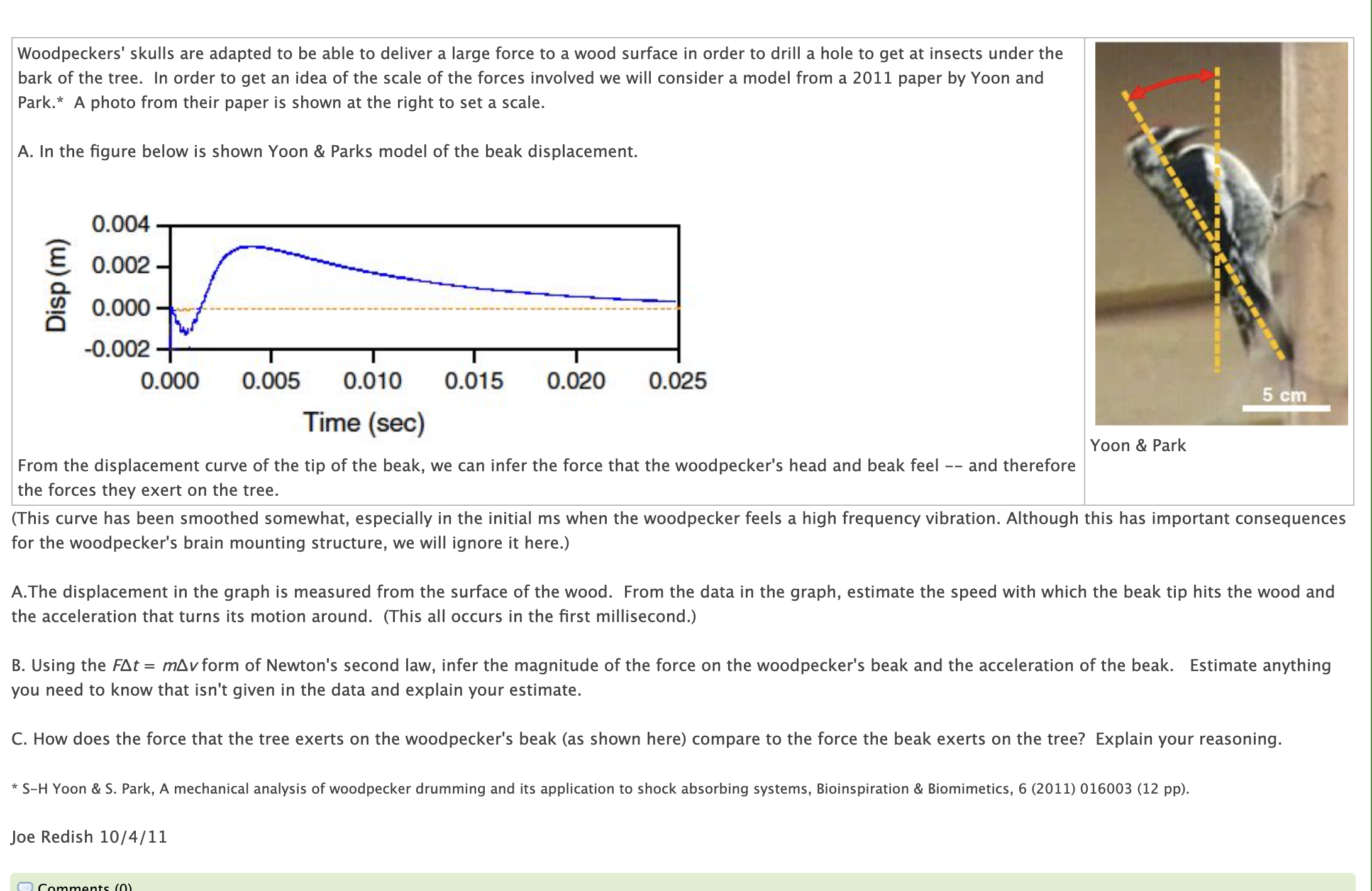 Solved From the displacement curve of the tip of the beak, | Chegg.com