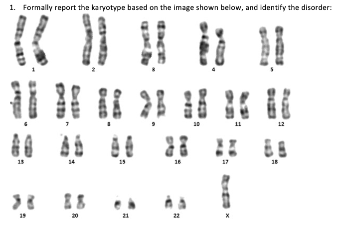 Solved 1. Formally report the karyotype based on the image | Chegg.com