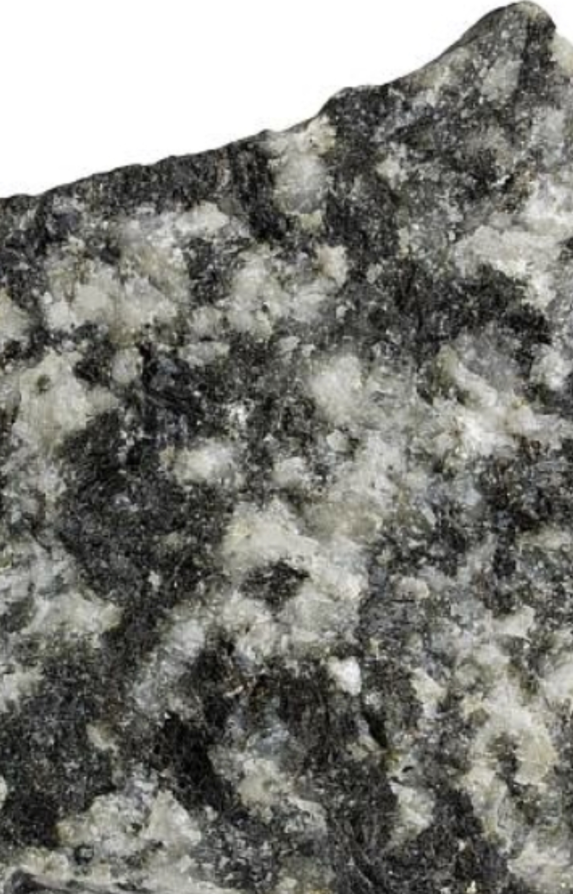 Solved Igneous Rocks and Processes = 137IGNEOUS ROCK | Chegg.com