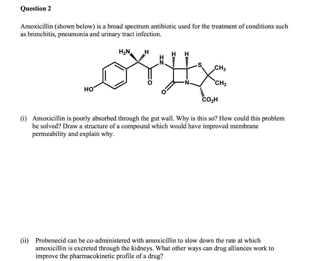 Solved Amoxicillin (shown below) is a broad spectrum | Chegg.com