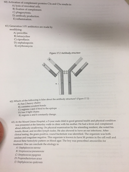 Solved 60) Activation of complement proteins C3a and C5a | Chegg.com