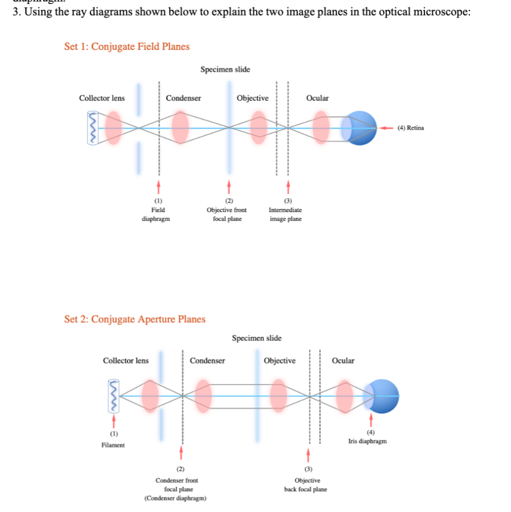 3. Using the ray diagrams shown below to explain the | Chegg.com