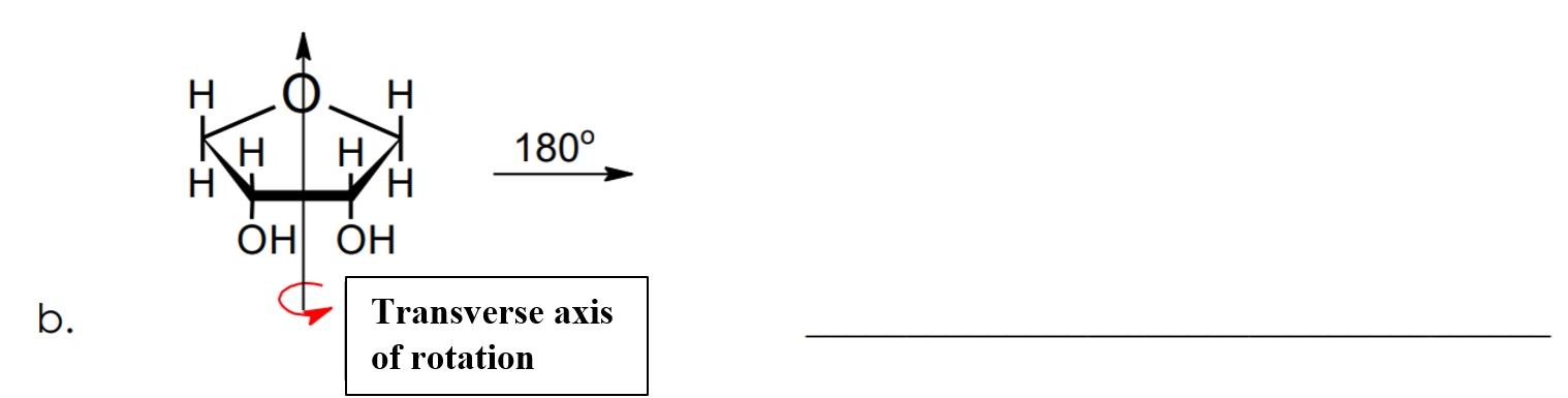 Solved 1. Rotate each molecule along the y-axis in the | Chegg.com