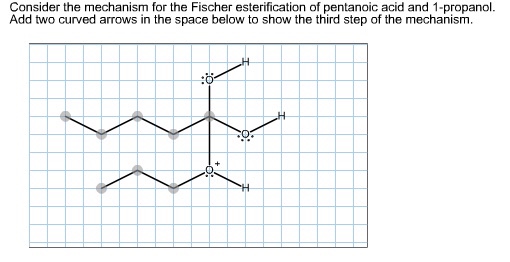 Solved Consider the mechanism for the Fischer esterification | Chegg.com