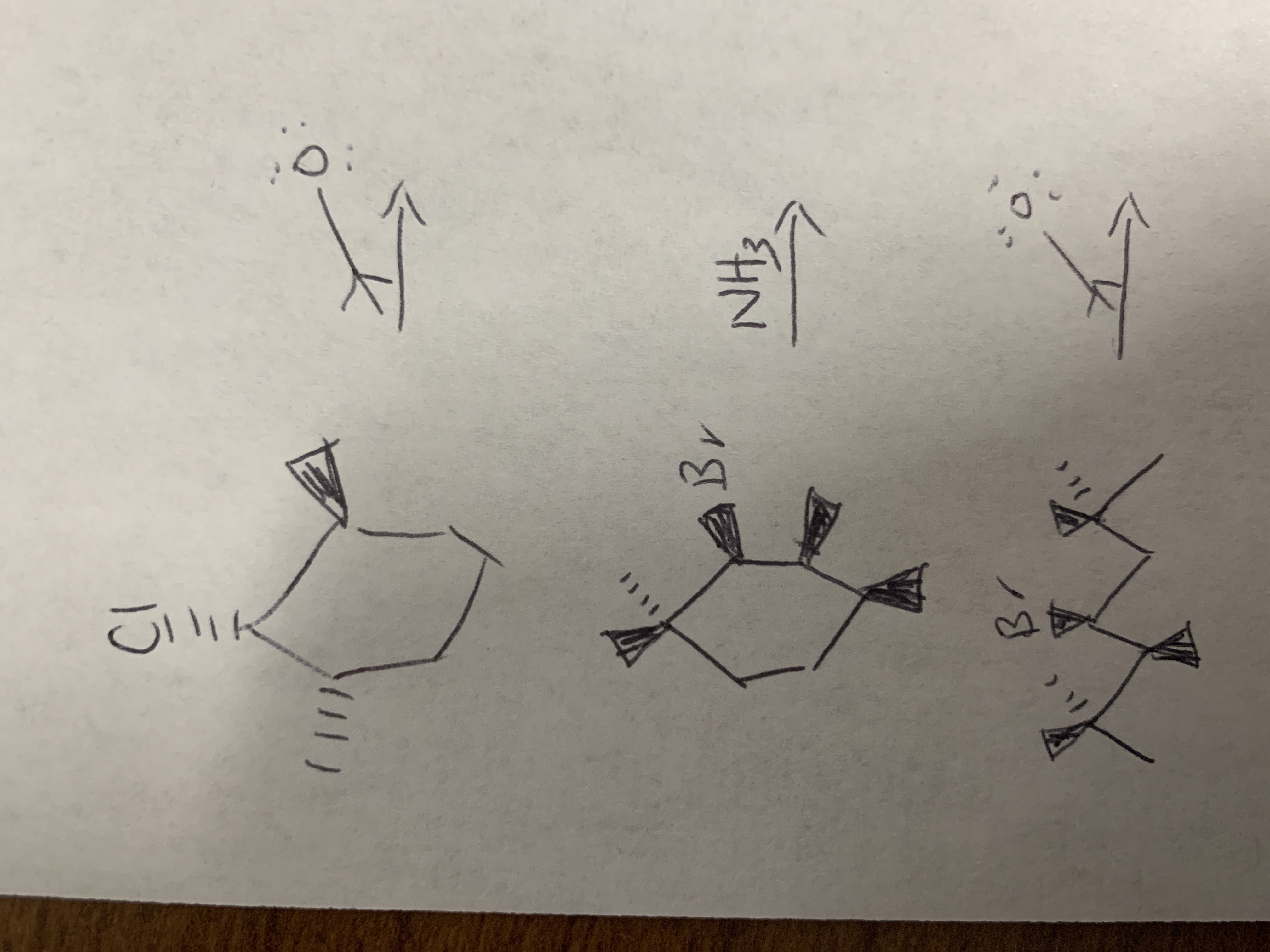 draw the product structures for the following | Chegg.com